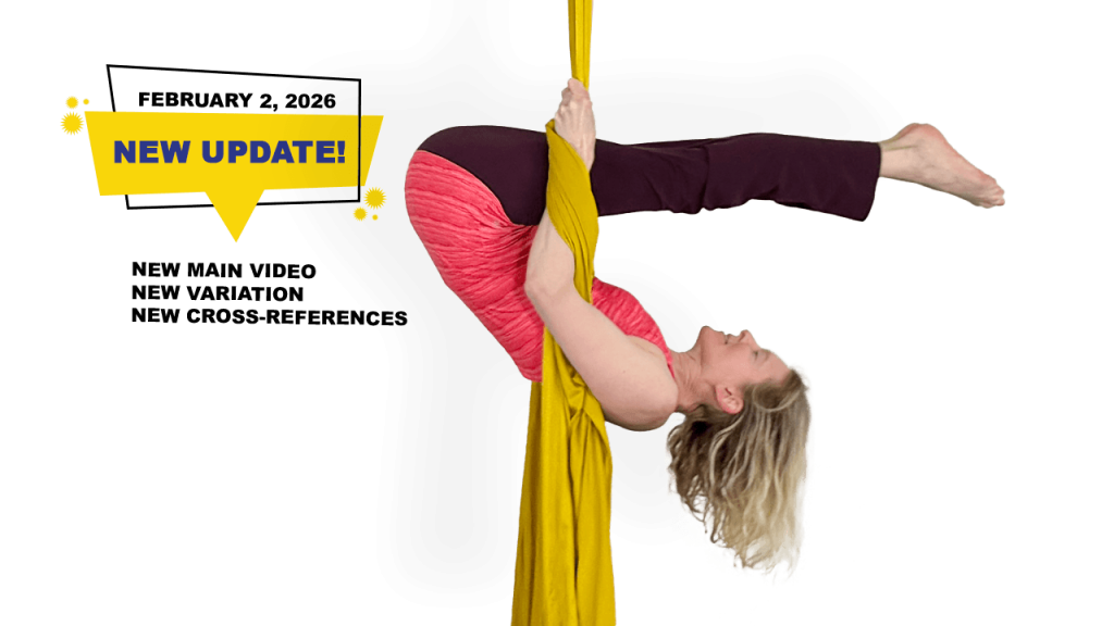 Pike Pull Ups | Aerial Fit Online