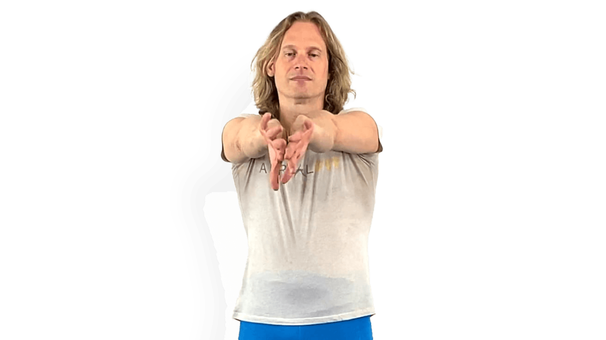 Alternating Wrist and Shoulder Rolls | Aerial Fit Online